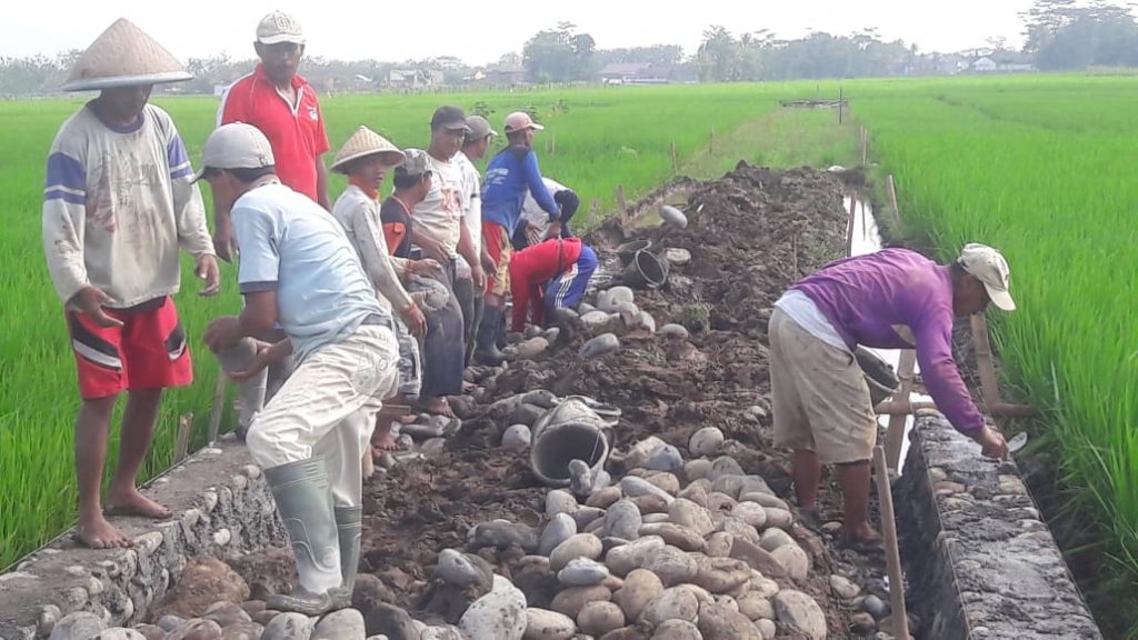 Pembangunan Jalan Usaha Tani – DESA KLAMPOK