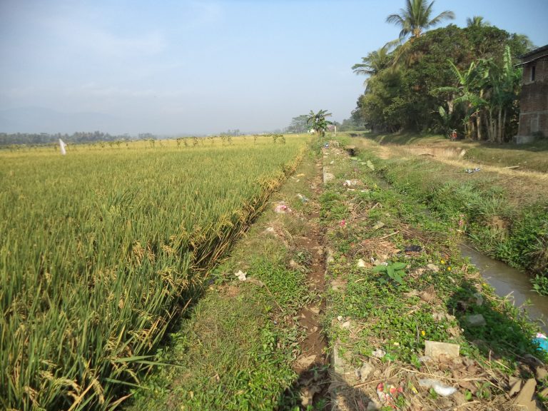 Pembangunan Saluran Irigasi Tersier Binangun – DESA KLAMPOK